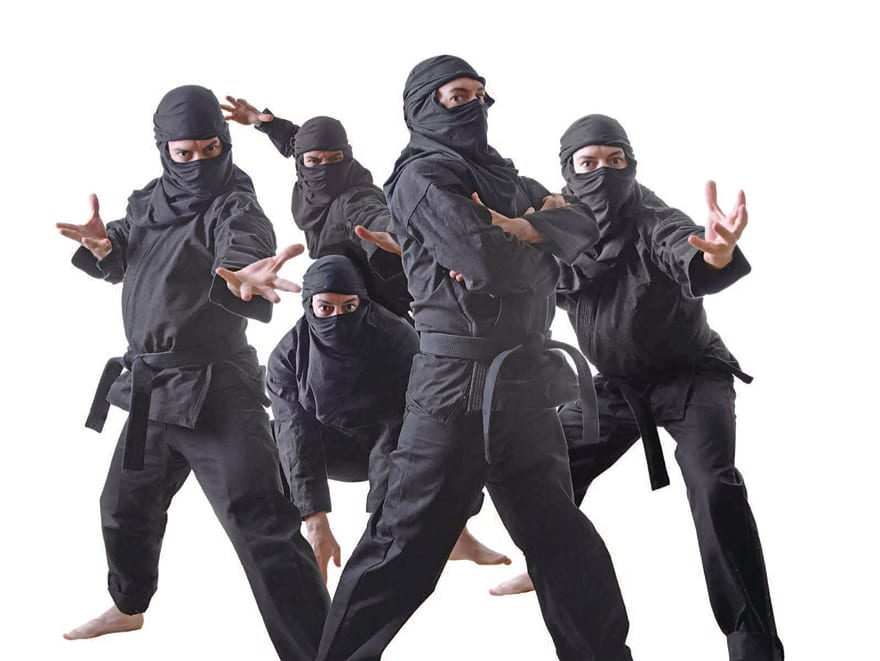 Japan Seeks to Hire six Full-Time Ninjas - CorD Magazine