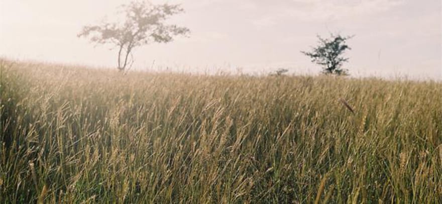 Rural Development Of Serbia In The Spotlight Cord Magazine