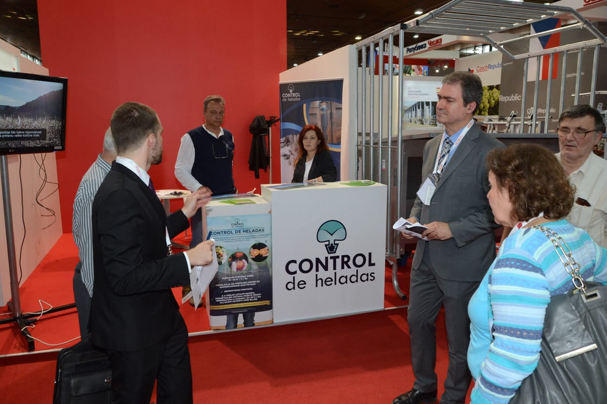 Good Solutions For The Serbian Economy Cord Magazine