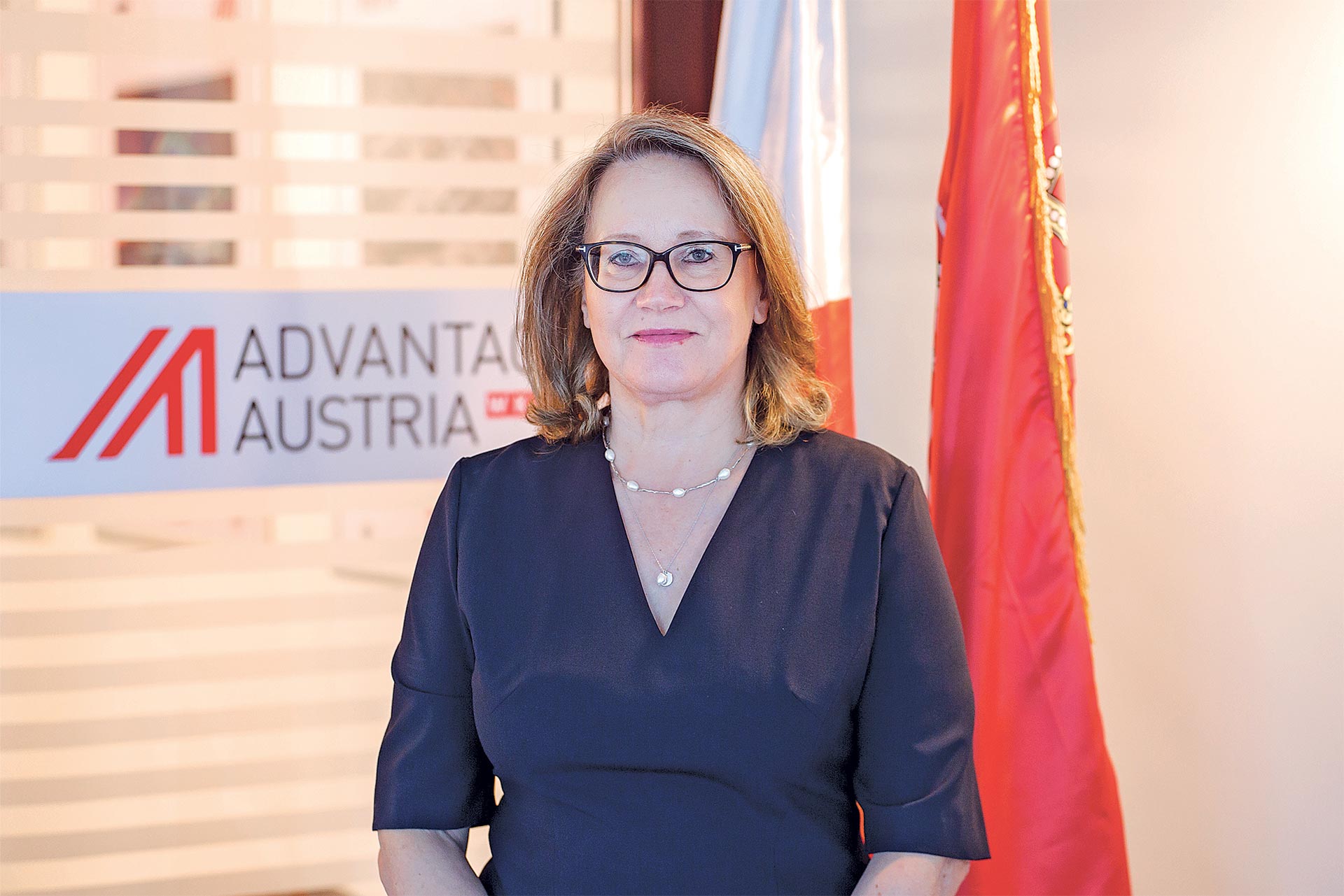 Erika Teoman Brenner, Embassy Of Austria: Getting Back On A Positive Track