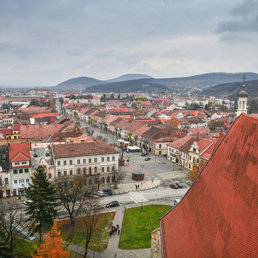 Meet The European Green City Finalists - CorD Magazine