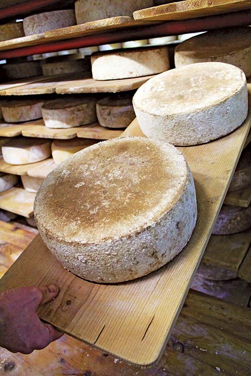 Swiss Products: Taste Of Tradition And Luxury