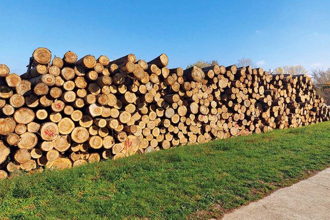 Vladimir Mitić, Visa Prom: Respecting Nature, Nurturing Quality