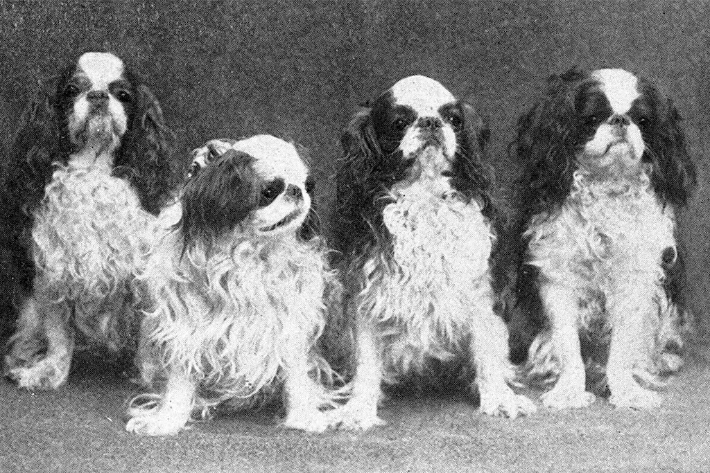 Art: Dog Breeds In Famous Paintings