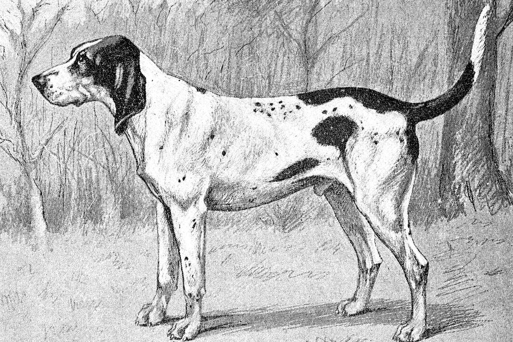 Art: Dog Breeds In Famous Paintings