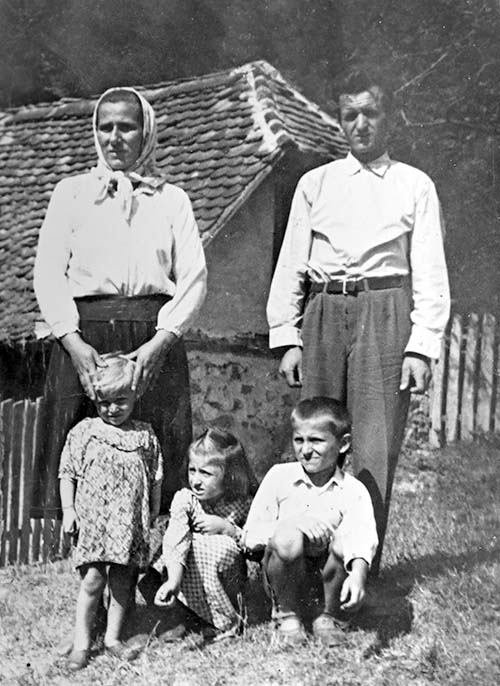 Gojko Tešić, Writer And Literary Historian: Necessity And Freedom