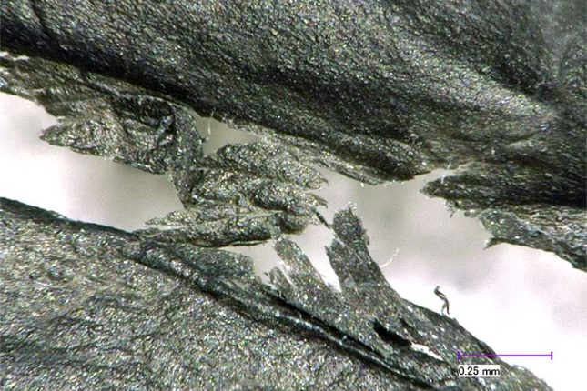 Microbes Discovered That Can Digest Plastics At Low Temperatures - CorD ...