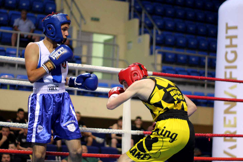 Boxers Join the Open Balkan Initiative