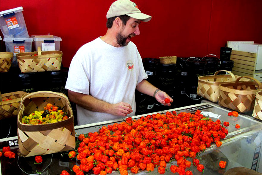 World Welcomes the Hottest Chilli Ever - CorD Magazine