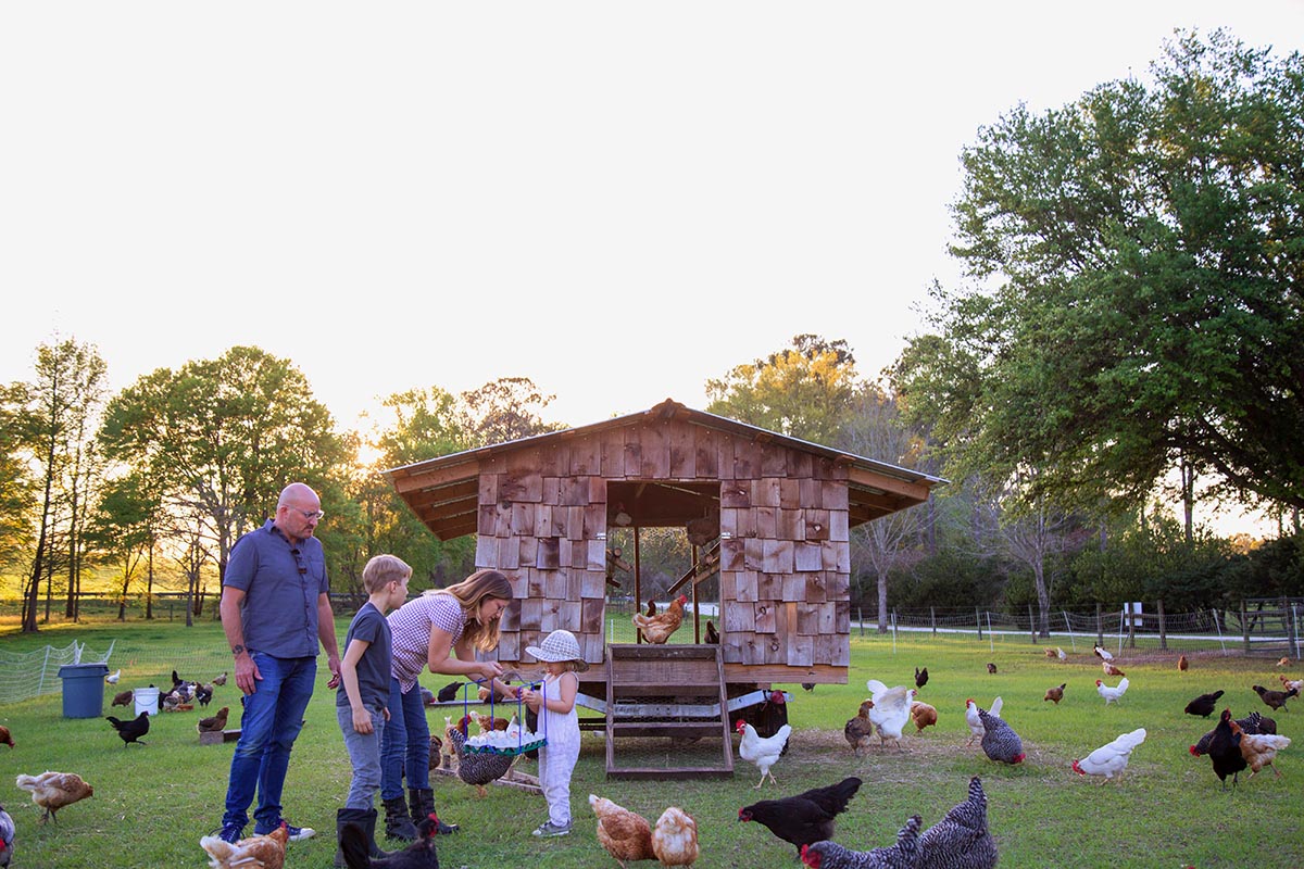 Family Farms Dominate EU Agriculture - CorD Magazine