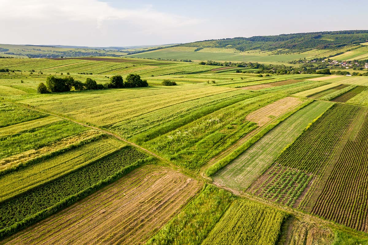 Croatia Tops Affordability Chart for EU Arable Land - CorD Magazine