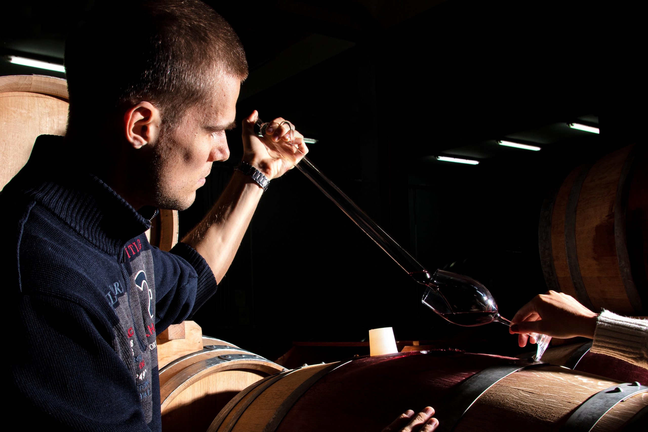 Sava Todić, Doja Winery: In vino PANTHEON