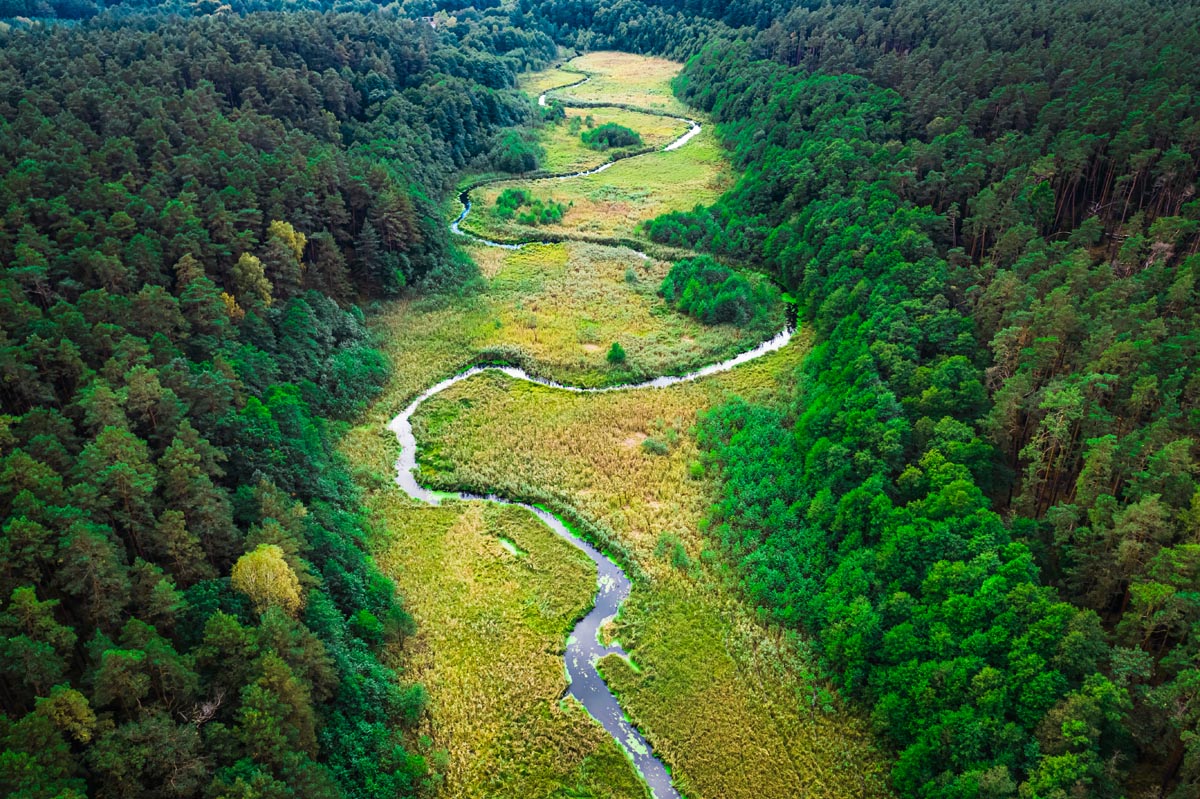 EU Nature Restoration Law Begins, Aiming to Revive Ecosystems - CorD ...