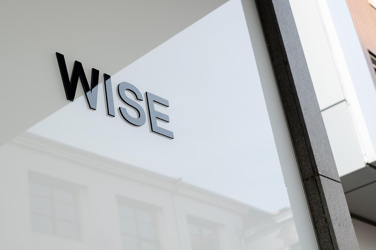 Taavet Hinrikus, Wise: The Estonian Who Rewrote the Rules of Global Money